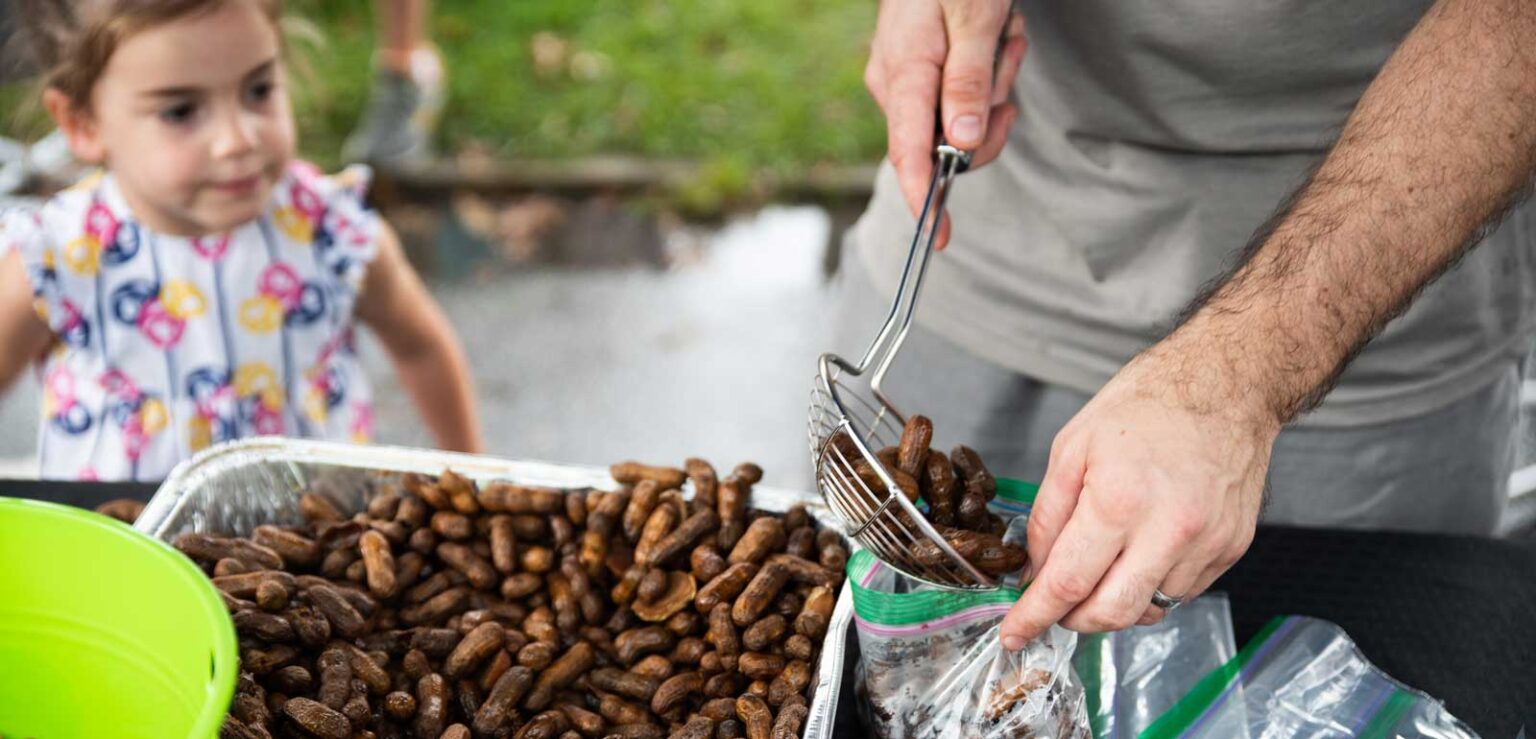 Animal Mission -Addressing Pet Overpopulation and Neglect.